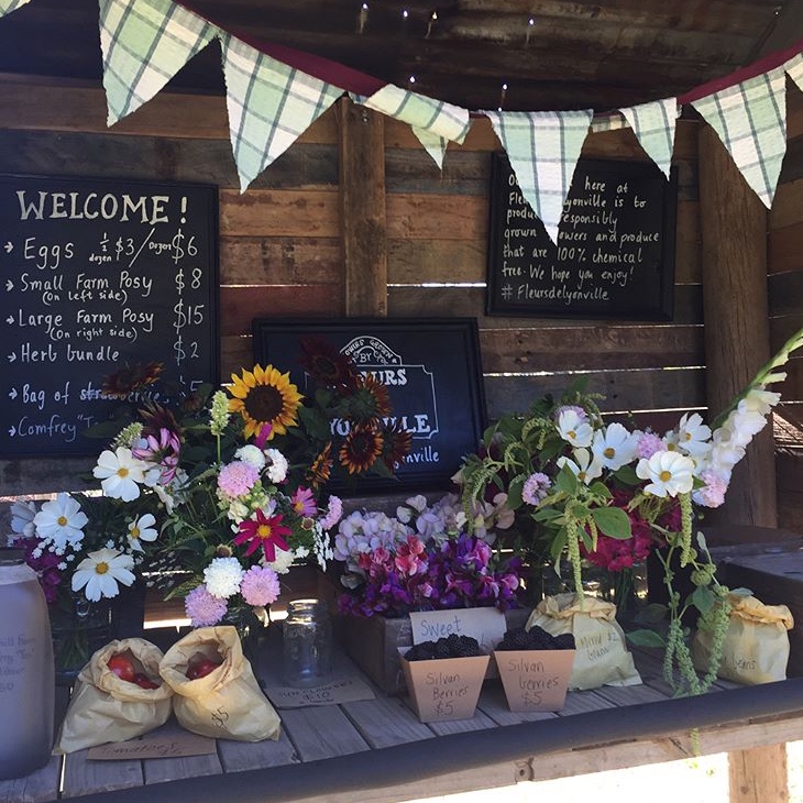 Flower farm trail launches in Vic, Australia – The Flower Press